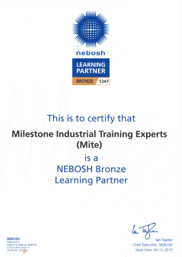 About Us – Mite Group